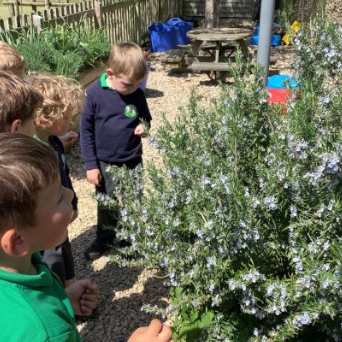 Chadlington Church of England Primary School - Bees, Brunel & Banksy